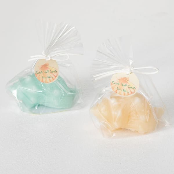 Reviews for Vance Kitira Conch Shell Decorative Candle (Set of 2 ...