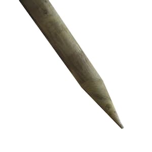 ProWood 96 in. Wooden Pressure-Treated Tree Stake 251224 - The Home Depot