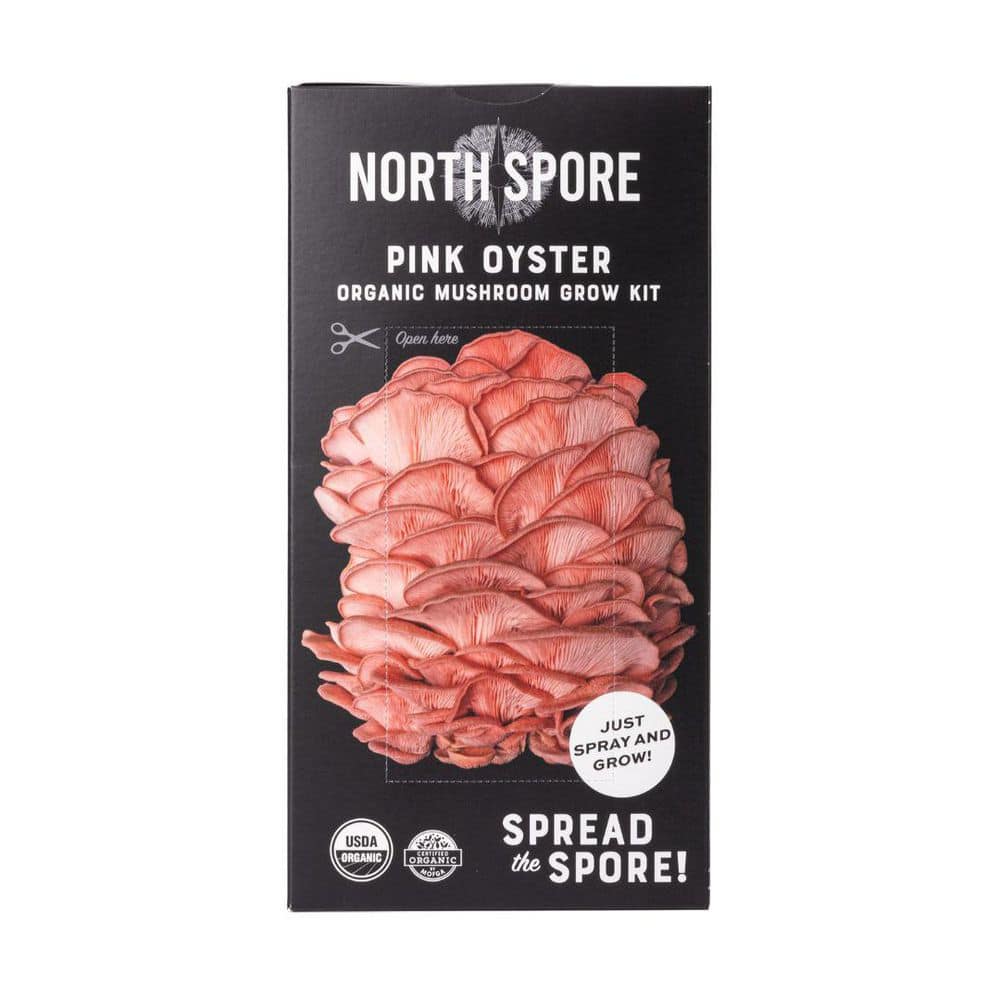NORTH SPORE Organic Pink Oyster Mushroom Spray and Grow Kit KIT ...