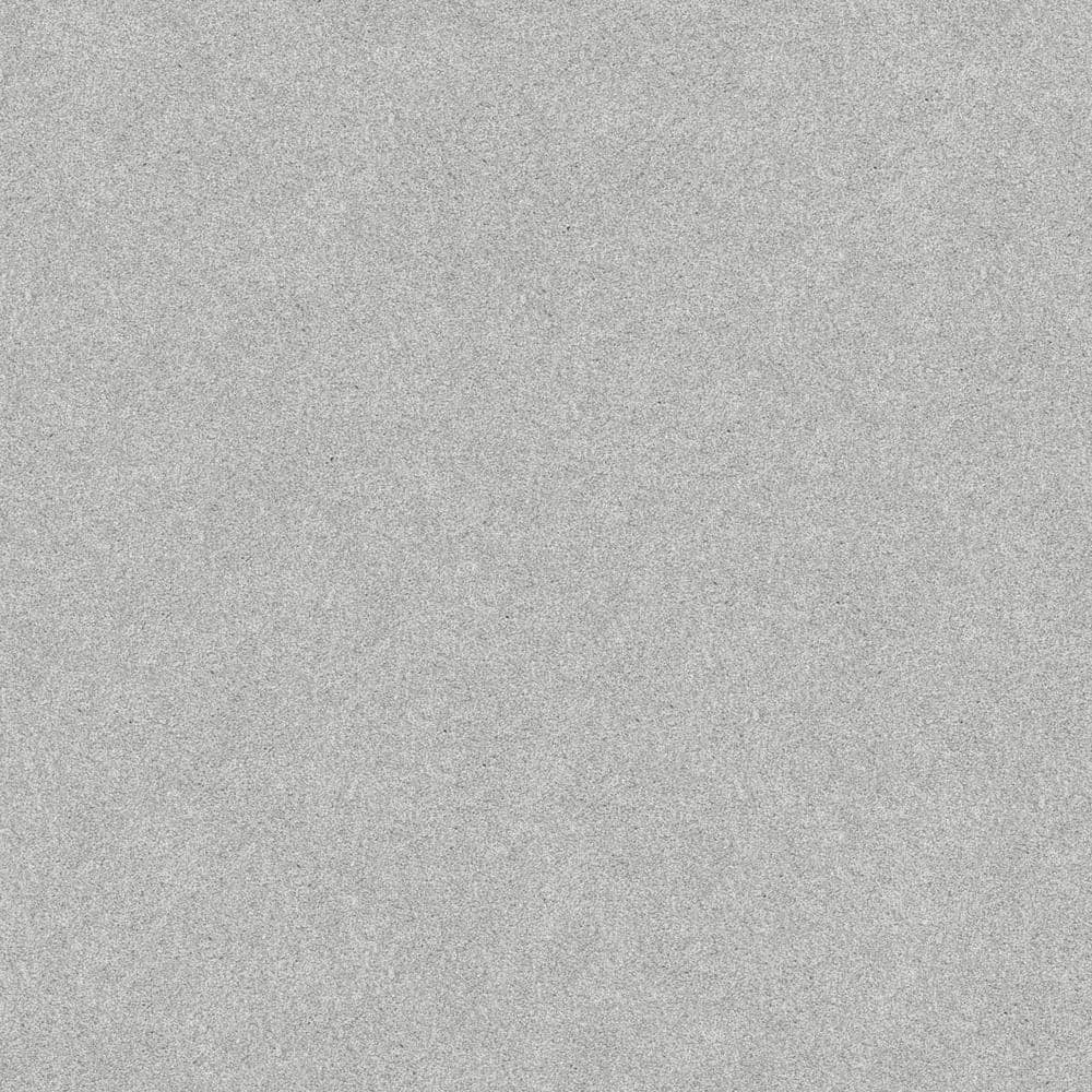 Lifeproof Coastal Charm I - Color Cold Winter Gray 42 oz. Nylon Texture ...