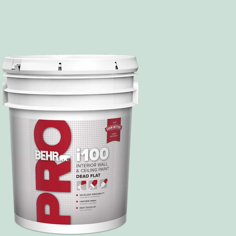 BEHR PRO 5 gal. #M430-2 Ice Rink Dead Flat Interior Paint PR10505 - The ...