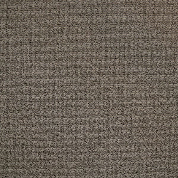 Reviews for TrafficMaster Wildly Popular I - Color Sand Dunes Textured ...