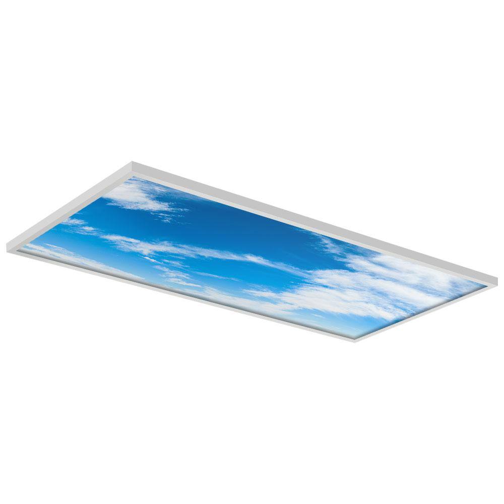 OCTO LIGHTS 010 2 ft. x 4 ft. Fluorescent Light Filters CLD-010-2x4 ...