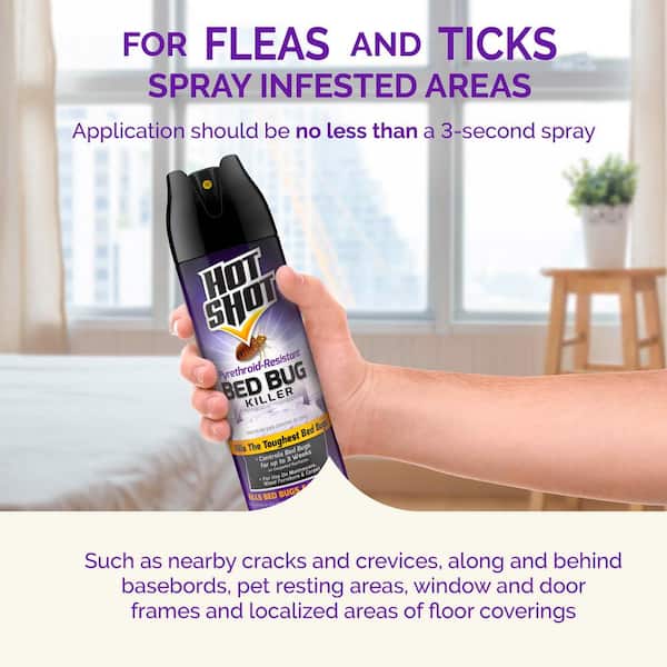 Hot Shot 17.5 oz. Pyrethroid-Resistant Bed Bug Insect Killer Aerosol HG ...