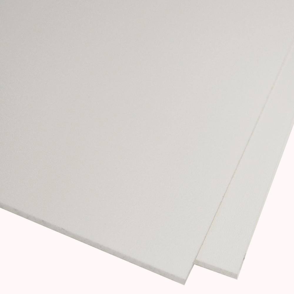 SHAPE PRODUCTS 24 in. x 36 in. x .100 in. White HDPE Sheet (2-Pack ...