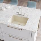 Rene Ivory Granite Quartz 22 in. Single Bowl Dualmount Kitchen Sink Kit ...