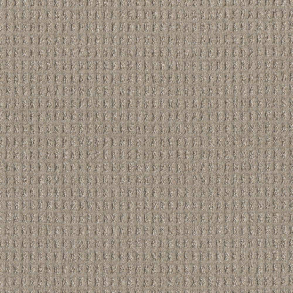 Home Decorators Collection 8 in. x 8 in. Pattern Carpet Sample ...