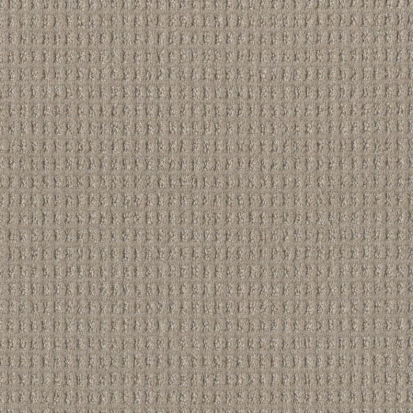 Home Decorators Collection 8 in. x 8 in. Pattern Carpet Sample ...