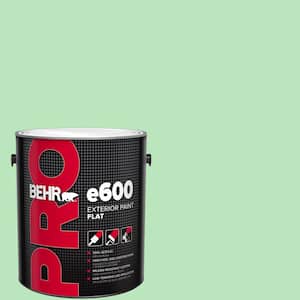 BEHR PRO 1 gal. #P390-3 Mint Parfait Low Luster Exterior Paint PR62001 ...