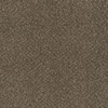 TrafficMaster Dream Wish - Vision - Gray 32 oz. SD Polyester Texture ...