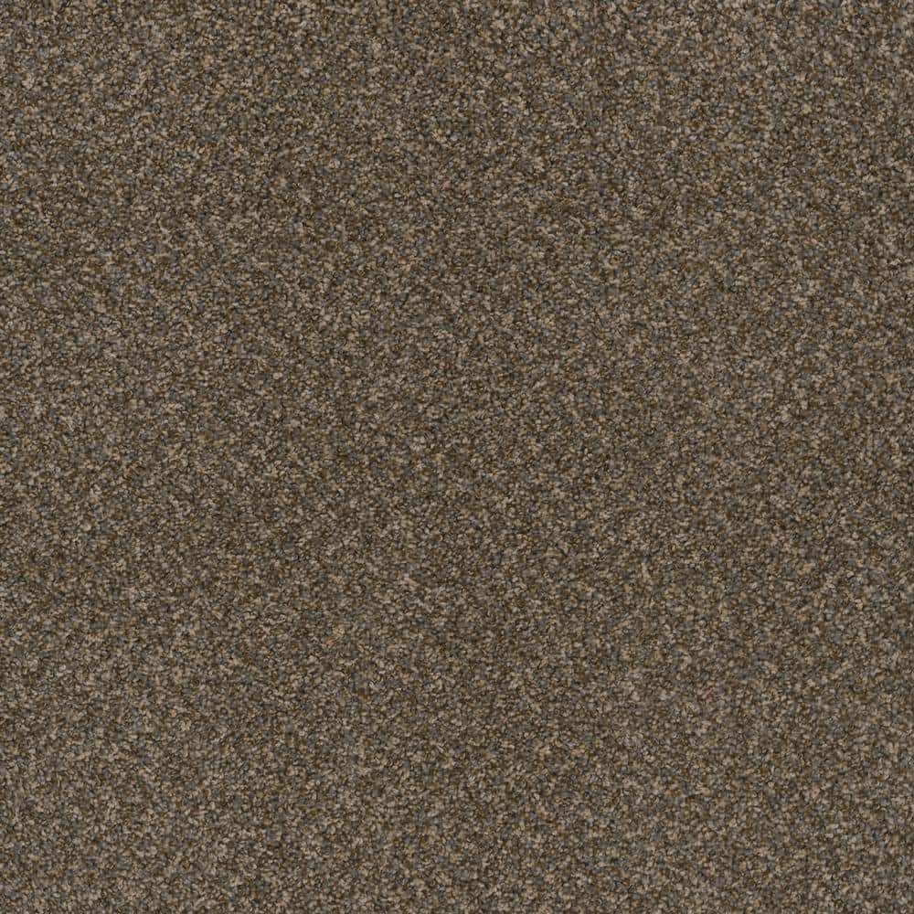 TrafficMaster Dream Wish - Vision - Gray 32 oz. SD Polyester Texture ...