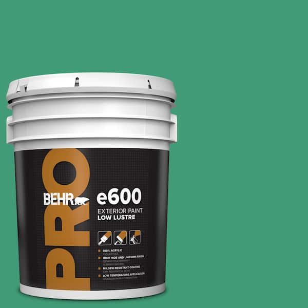 BEHR PRO 5 gal. #MQ6-42 Dancing Jewel Low Luster Exterior Paint PR62305 ...