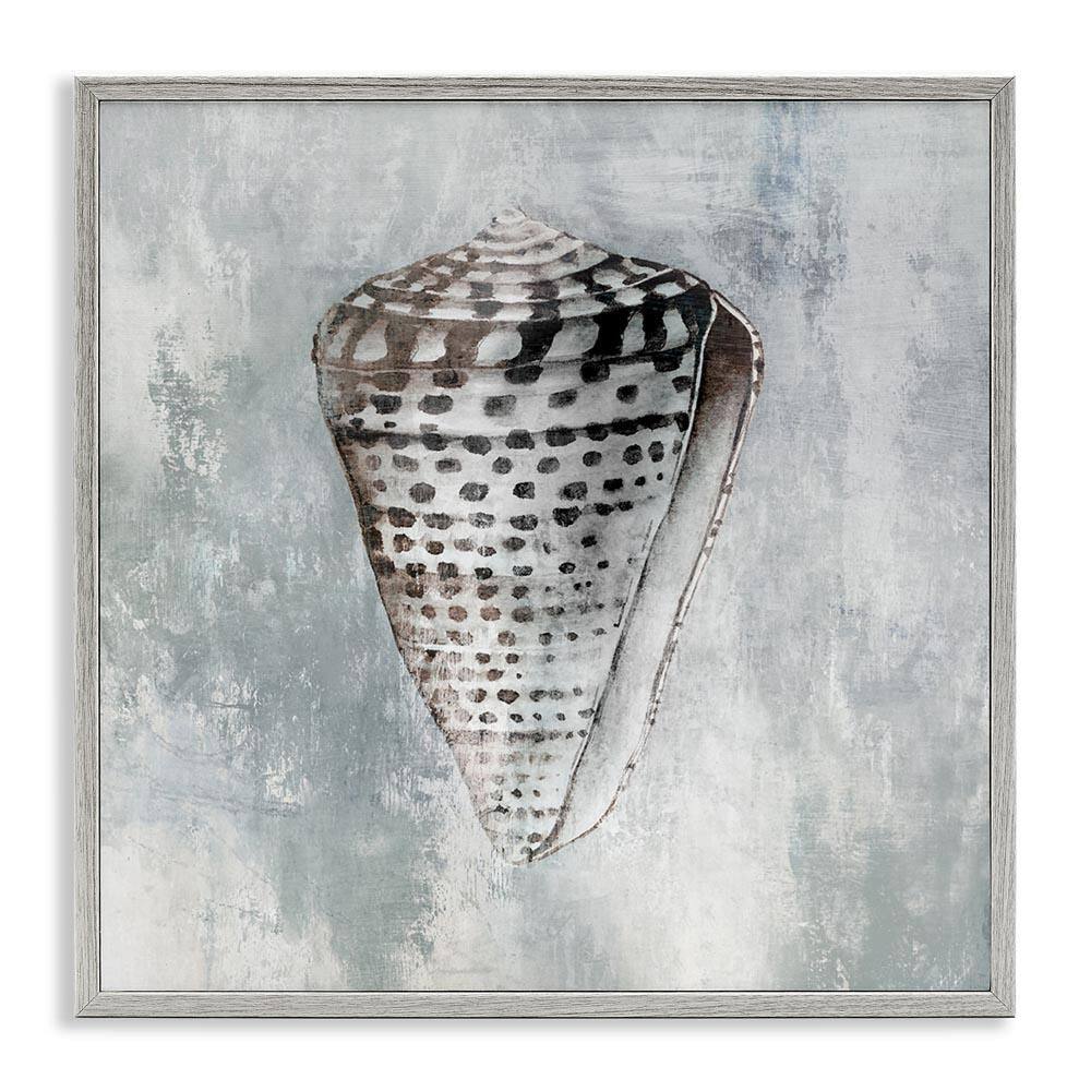 Stupell Industries Organic Cowrie Shell by Eli Jones Gray Framed ...
