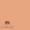 PPG UltraLast 5 gal. #PPG1200-4 Orange Clay Matte Interior Paint and ...