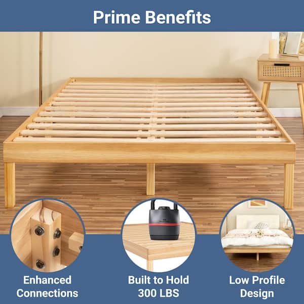 Solid bed bases store