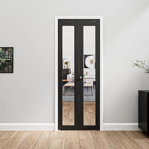 ARK DESIGN 20 in. x 78 in. 1-Lite Mirror Glass and Solid Core Black ...