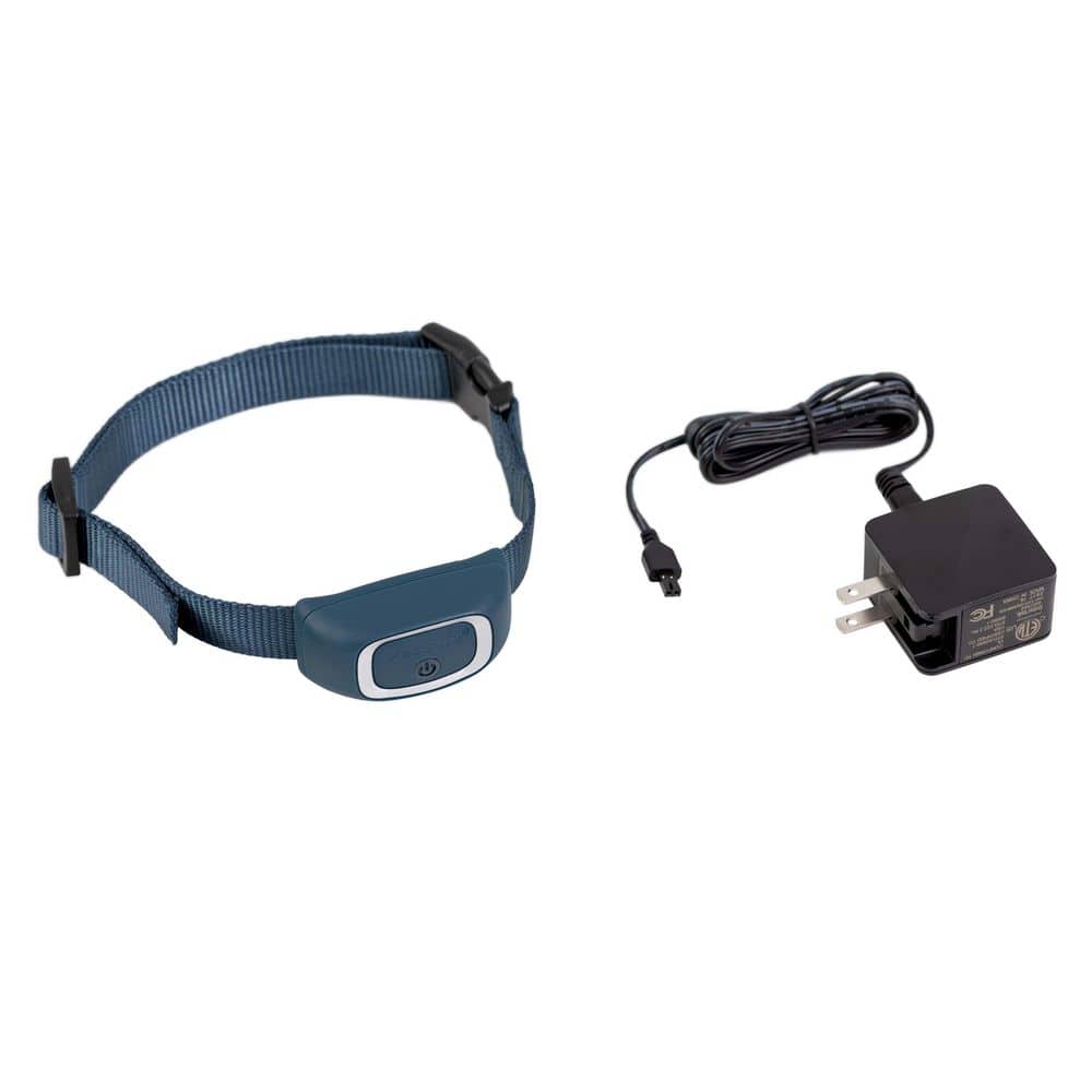 PetSafe SMART DOG Training Collar – Use Smartphone as Handheld Remote ...