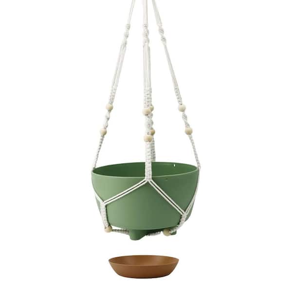 Home Depot Hanging Plants