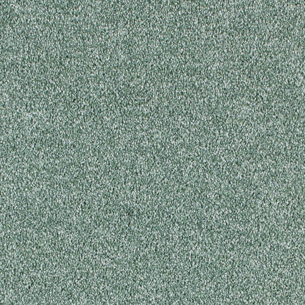 Lifeproof with Petproof Technology 8 in. x 8 in. Texture Carpet Sample ...