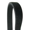 Continental Elite Serpentine Belt - Accessory Drive D4060470