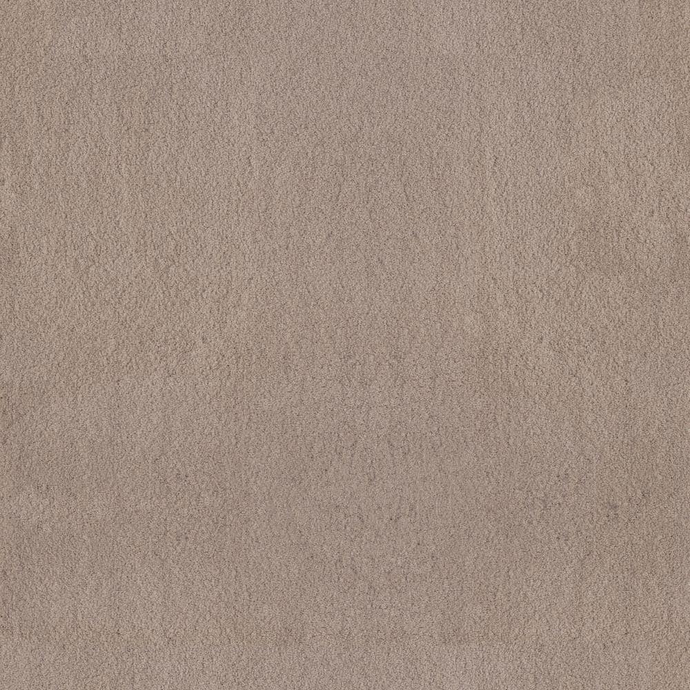 Lifeproof Dreamy Daze II Rowan Brown 66 oz. Nylon Texture Carpet ...