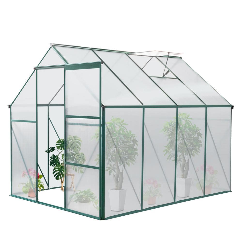 Karl home 6 ft. W x 8 ft. D x 6ft. H Green Walk-in Hobby Greenhouse ...