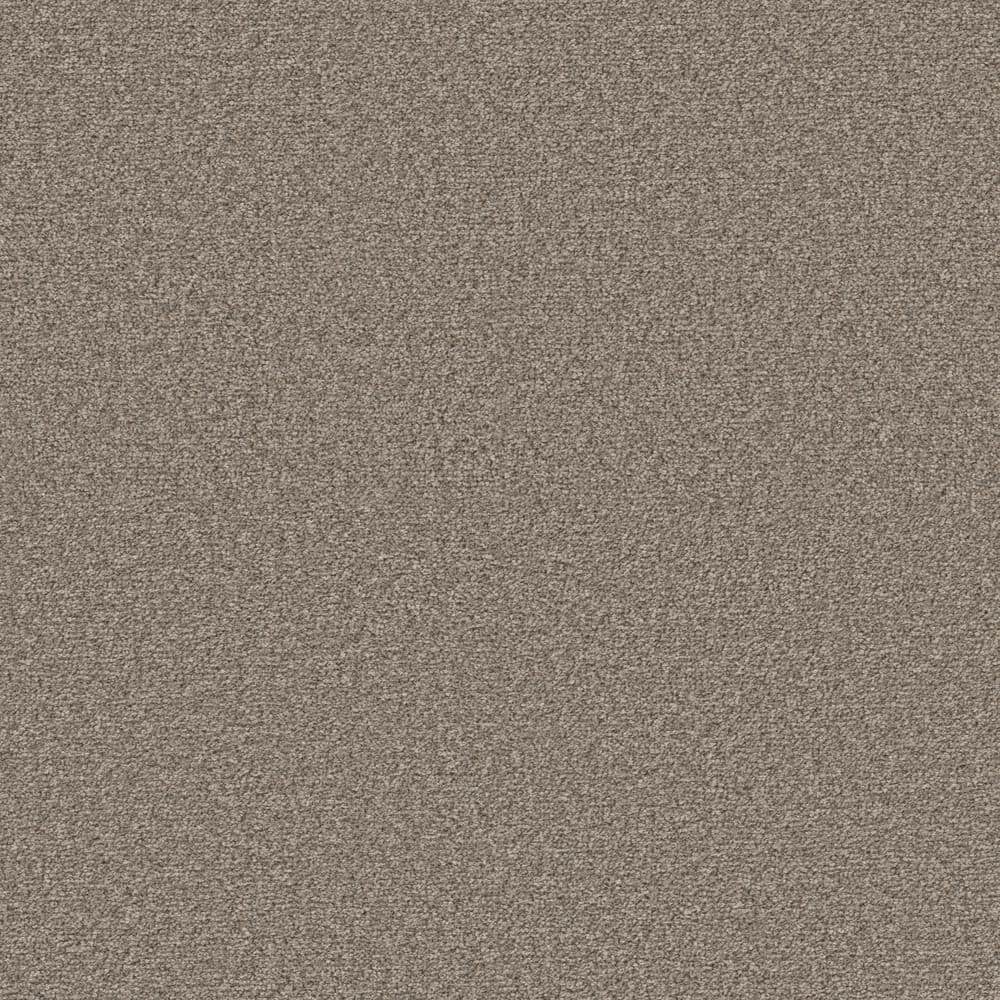 Home Decorators Collection Enchanted - Color Pebble 61 oz Polyester ...
