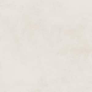 EMSER TILE Citizen Subject 23.62 in. x 47.24 in. Lappato Porcelain ...