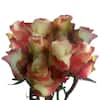 Globalrose 50 Stems of Cream Yellow with Pink Edges Audabe Roses Fresh ...