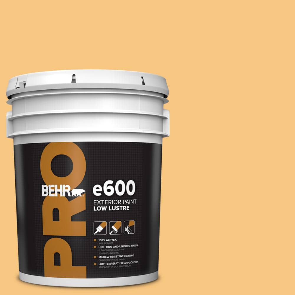 BEHR PRO 5 gal. #PPU6-07 Jackfruit Low Luster Exterior Paint PR62005 ...