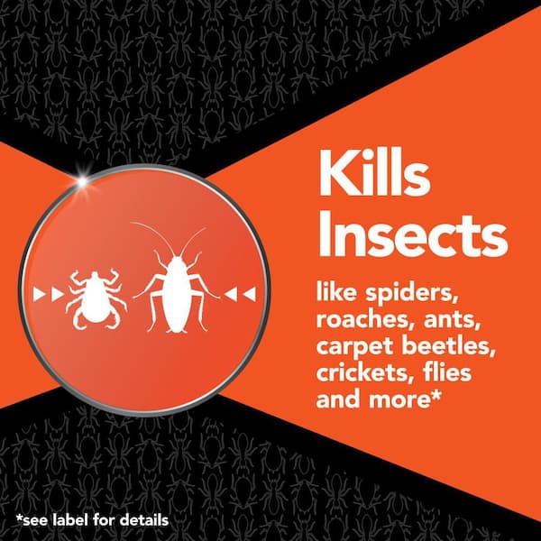 Raid Max 2.1 oz. Max Concentrated Fogger 3 Pk SCJ643409 - The Home Depot