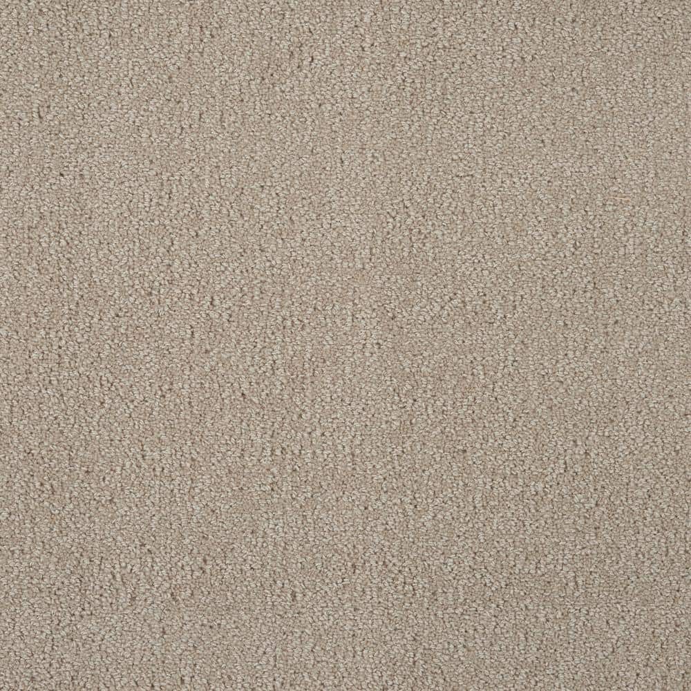 Natural Harmony 6 in. x 6 in. Texture Carpet Sample - Feather - Color ...