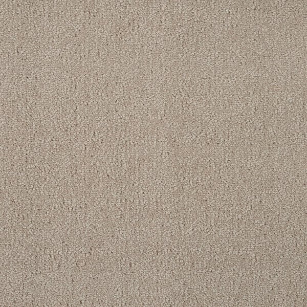 Natural Harmony 6 in. x 6 in. Texture Carpet Sample - Feather - Color ...
