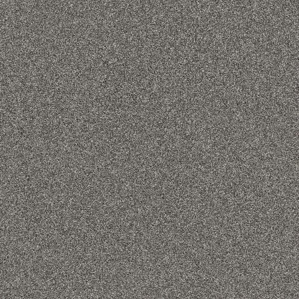 Home Decorators Collection 8 in. x 8 in. Texture Carpet Sample ...