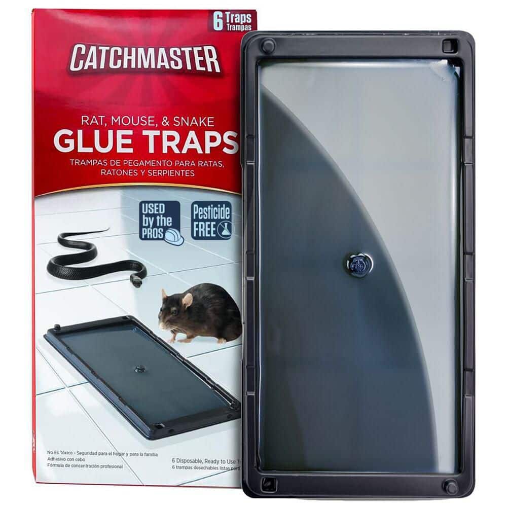 Catchmaster PRO Rat, Mouse, Snake, Spider, Scorpion and Insect Glue Traps (6-Pack) 402-EC-3E ...