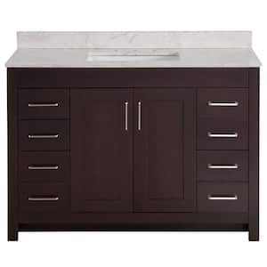 Home Decorators Collection Westcourt 49 in. W x 22 in. D Bath Vanity in ...