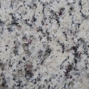 STONEMARK 3 in. x 3 in. Granite Countertop Sample in Silver Falls P-RSL ...