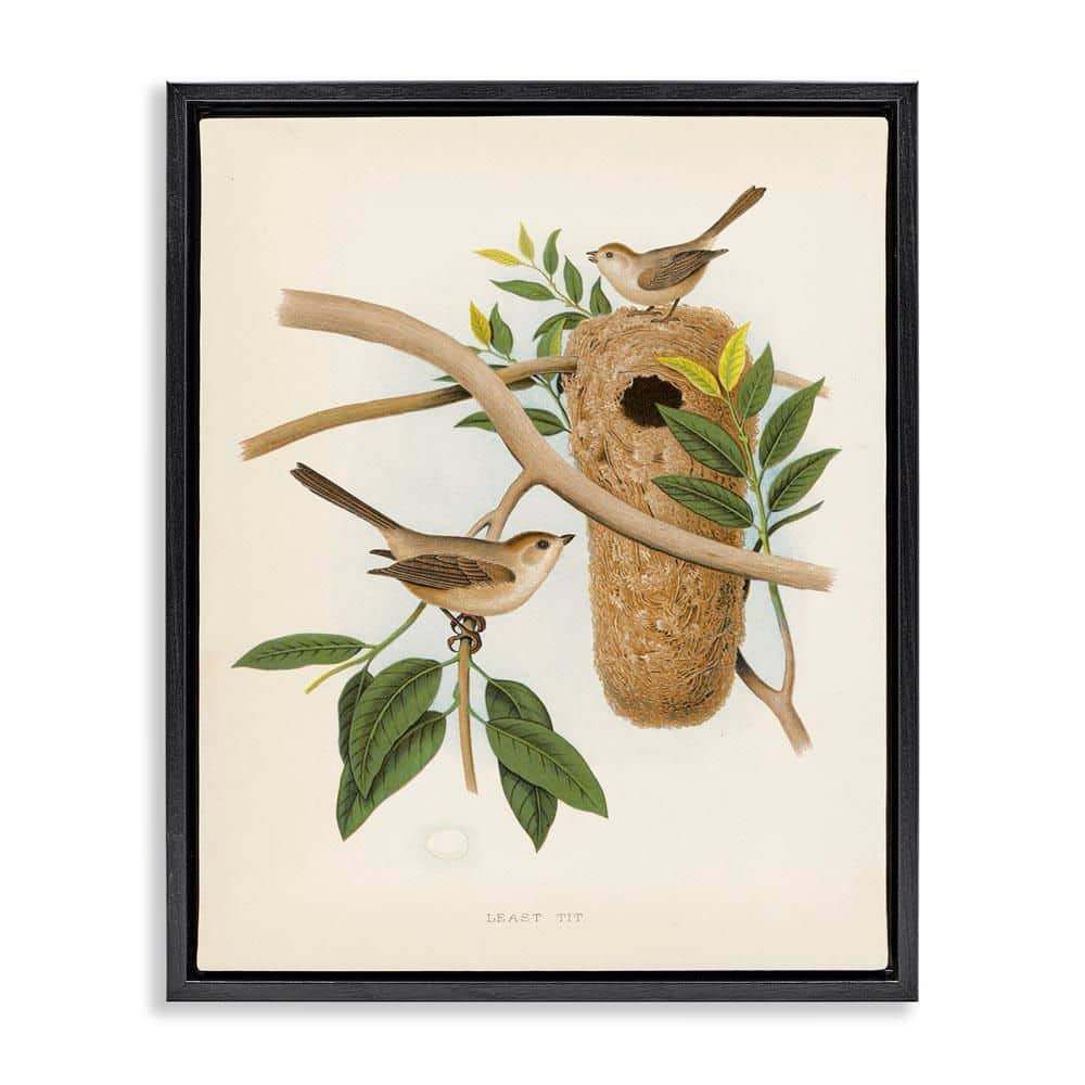 Stupell Industries Vintage Bird House Study by Tina Higgins Designs ...