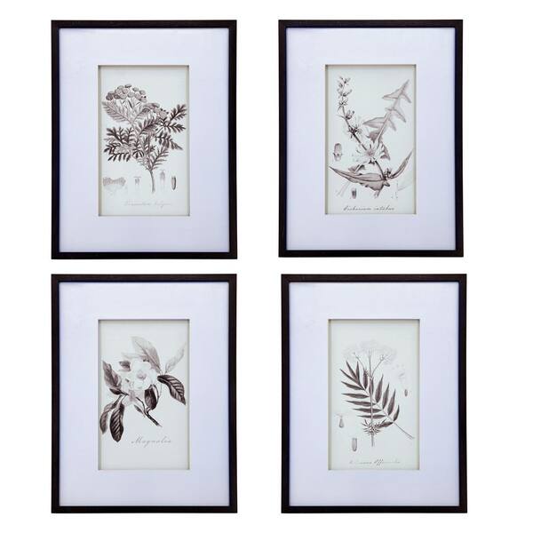 CONGE IMPORT LLC (Set of 4) Plastic Framed Art Drawing Botanical 28 in ...