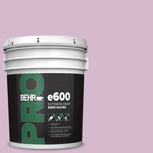 BEHR PRO 5 gal. #680D-4 Velvet Slipper Low Luster Exterior Paint ...