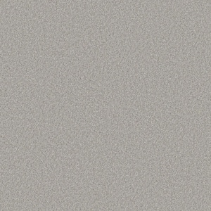 TrafficMaster 8 in. x 8 in. Texture Carpet Sample - Gifted Moments I ...