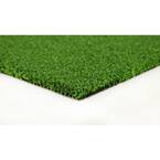 GREENLINE ARTIFICIAL GRASS Classic 54 Fescue 15 ft. Wide x Cut to ...