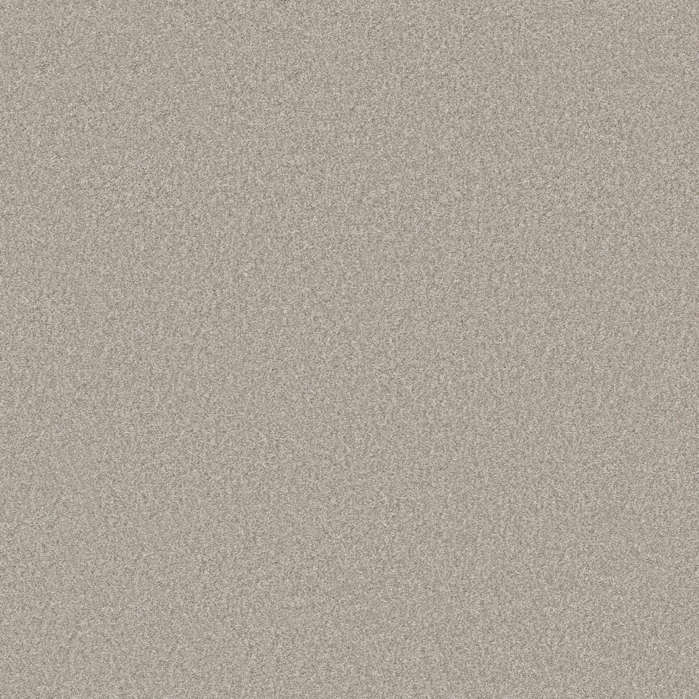 Lifeproof Rosemary I - Stark-Beige 12 ft. 42 oz. Polyester Texture Installed Carpet HDF9877115 ...