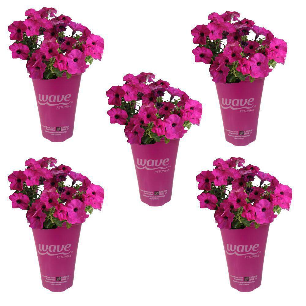 Wave Quart Tidal Wave Petunia Annual Plant Purple (5-Pack) 4460P10 ...