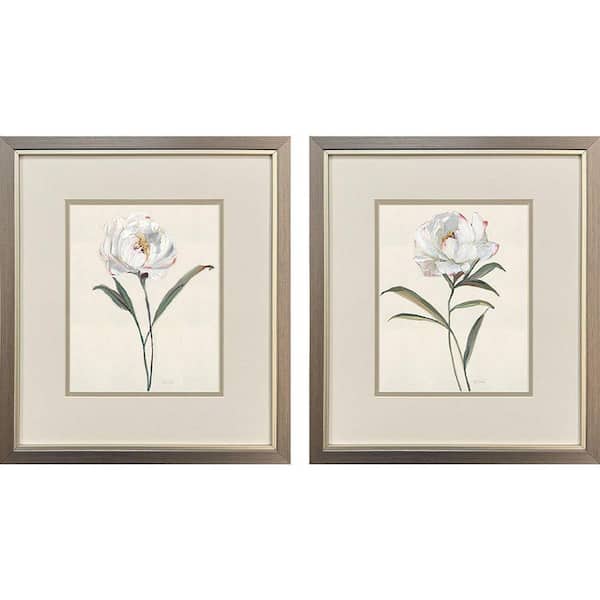 Paragon Swatland 2-Piece Framed Nature Art Print 16 in. x 14 in. 48817 ...