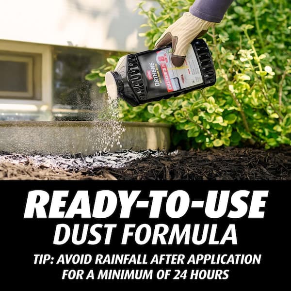 Ortho Orthene Ant and Roach Killer 1 lb. Indoor and Outdoor Insect ...