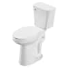 Simple Project 21 in. Extra Tall 2-piece 1.28 GPF Single Flush ...