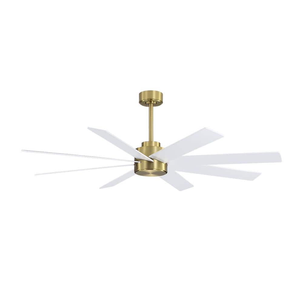 MLiAN 60 in. 8-Plywood Blades Gold and White Indoor Ceiling Fan with ...