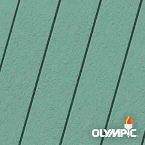 Olympic Rescue It 3 gal. Mystic Black Deck Resurfacer and Primer with ...