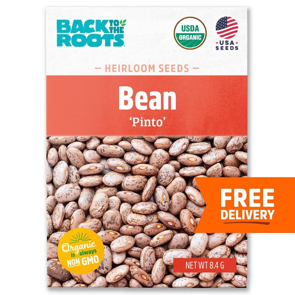 Back to the Roots Organic Bean Pinto Heirloom Vegetable Seeds 46128 ...